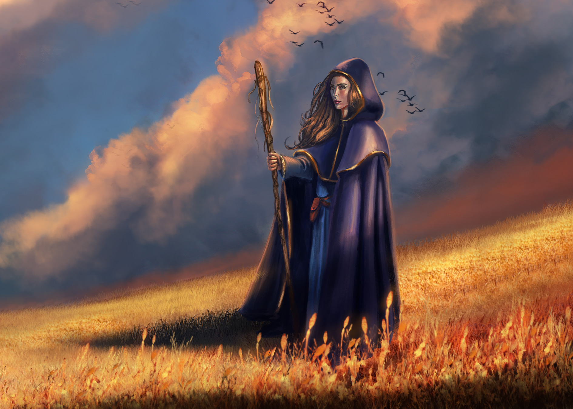 Classes in Havoc! The Combat Card Game • Havoc Games